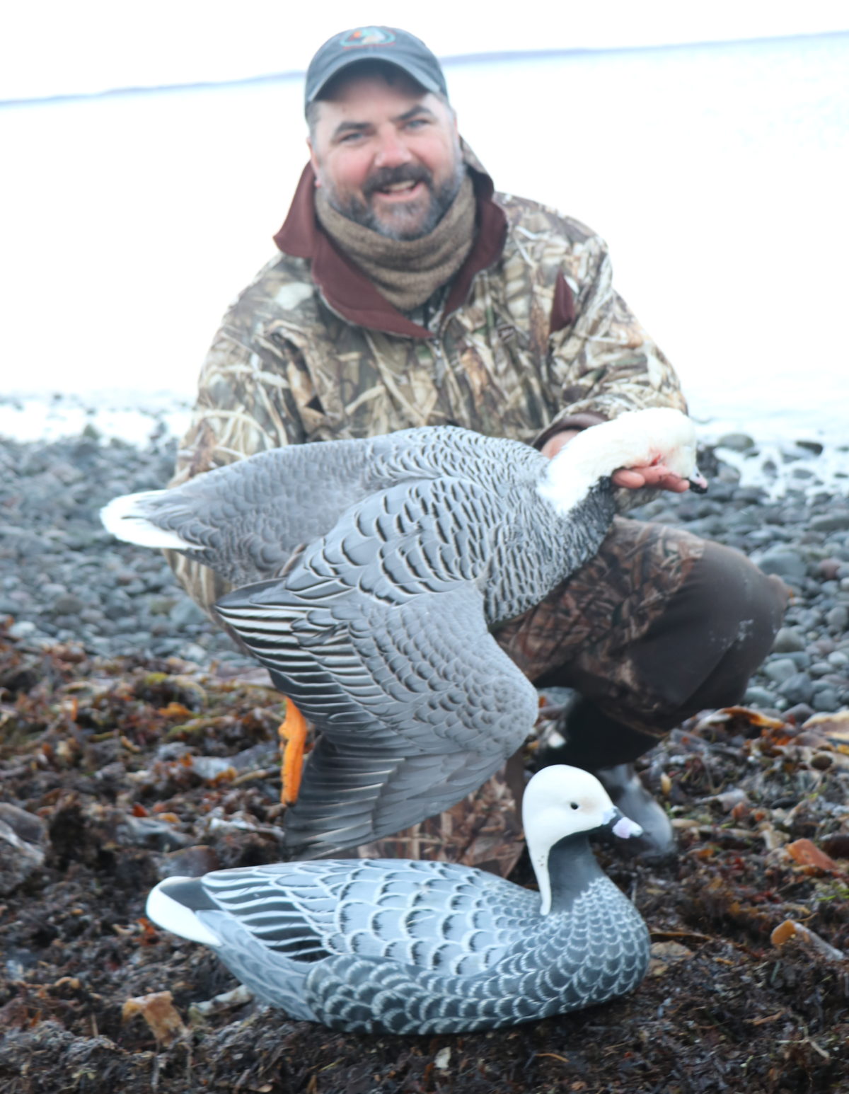 Coldbay Emperor Goose hunting | Emperor Goose Hunting