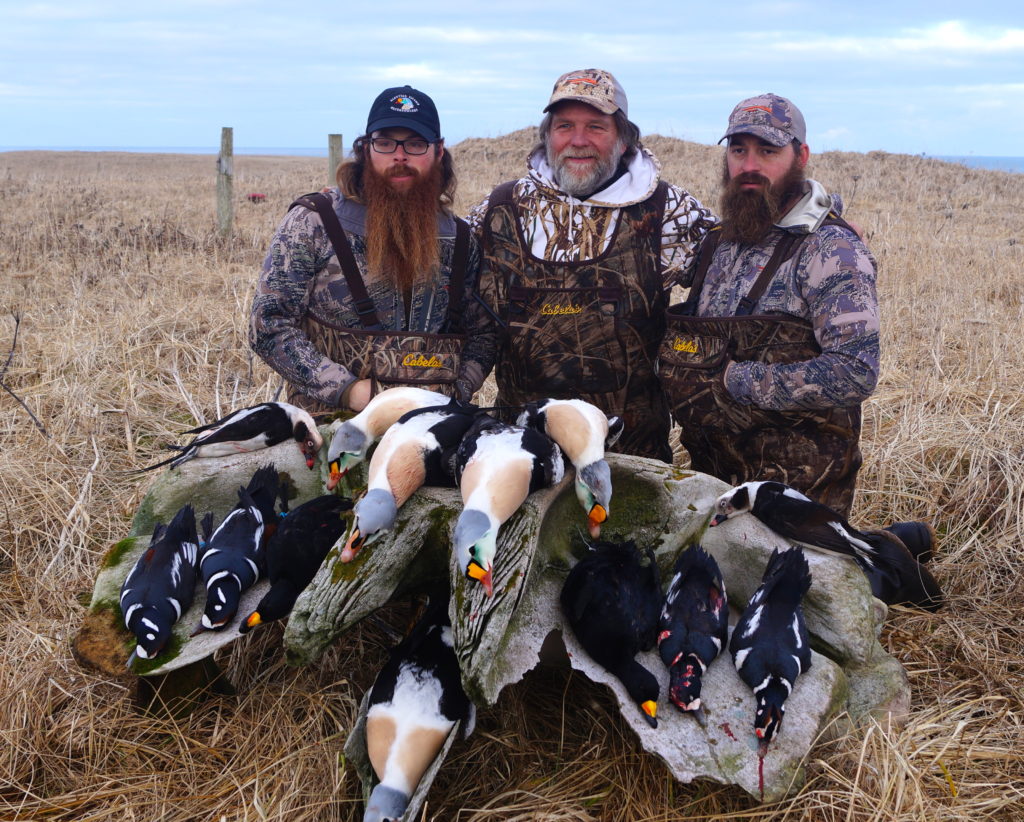 King Eider seaduck guides X guides | Emperor Goose Hunting