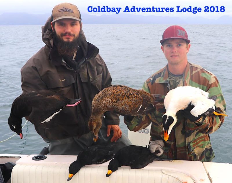 Seaduck hunts | Aleutian Island Waterfowlers | Emperor Goose Hunting