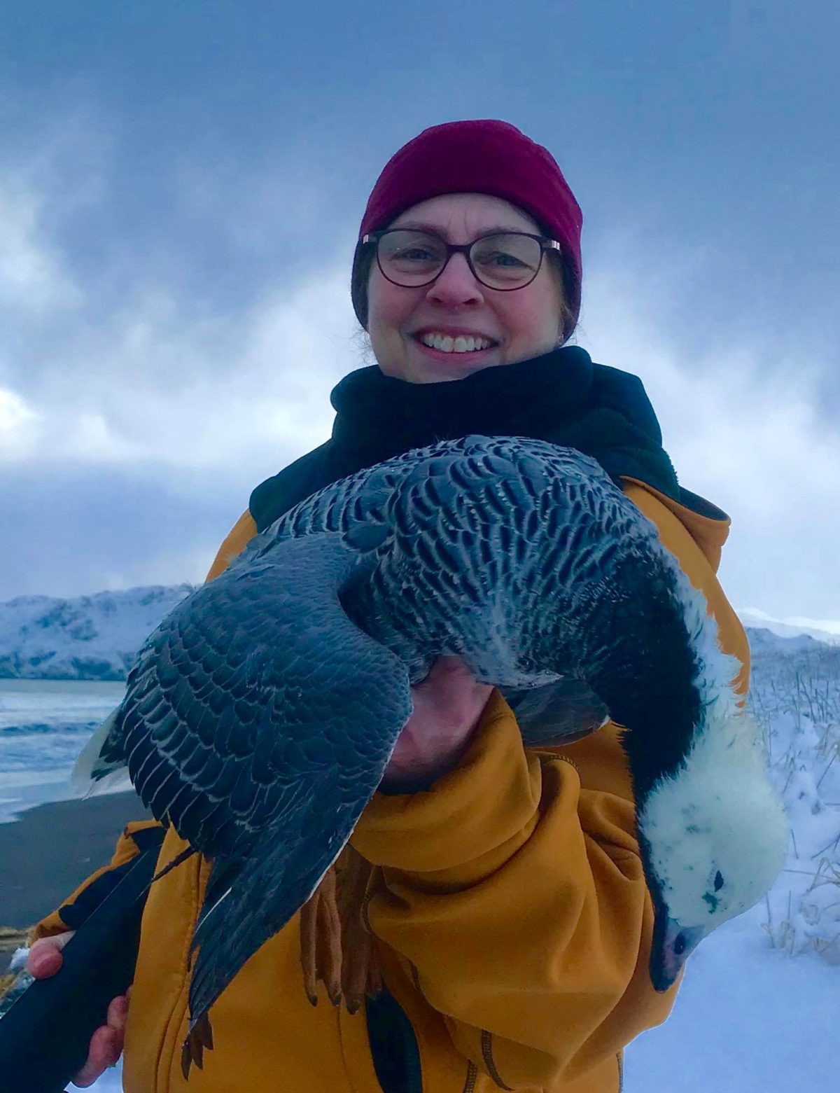 Adak Island Emperor Goose hunting | Emperor Goose Hunting